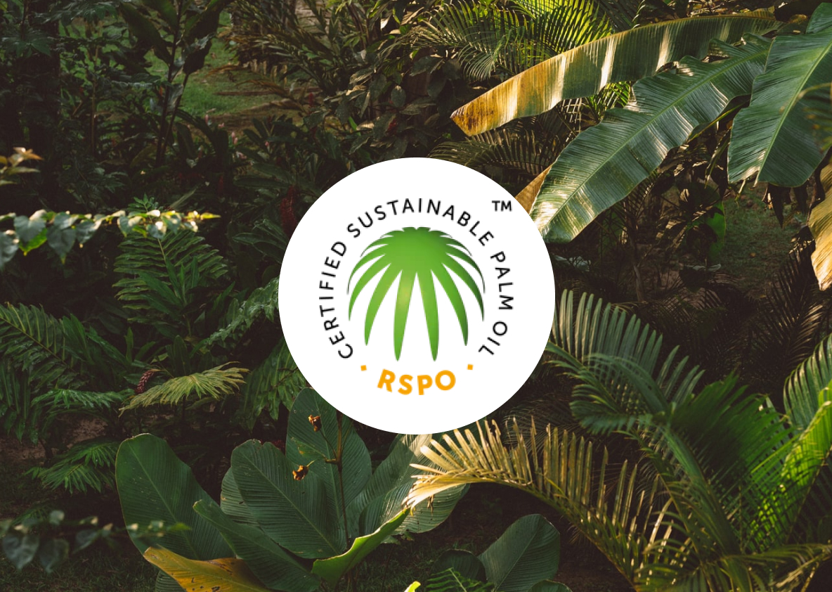 Sustainability Efforts in Manufacturing & Product Development